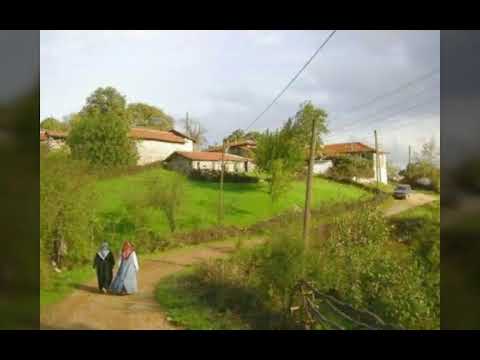 Dertli türküler zalim felek süper bir ses dinle paylaş