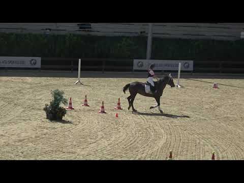 Zeynep Türkmen - D. S. Morning Çilek Equifun Başlangıç Seviyesi Türkiye Kupası 11 14 Yaş Birincisi