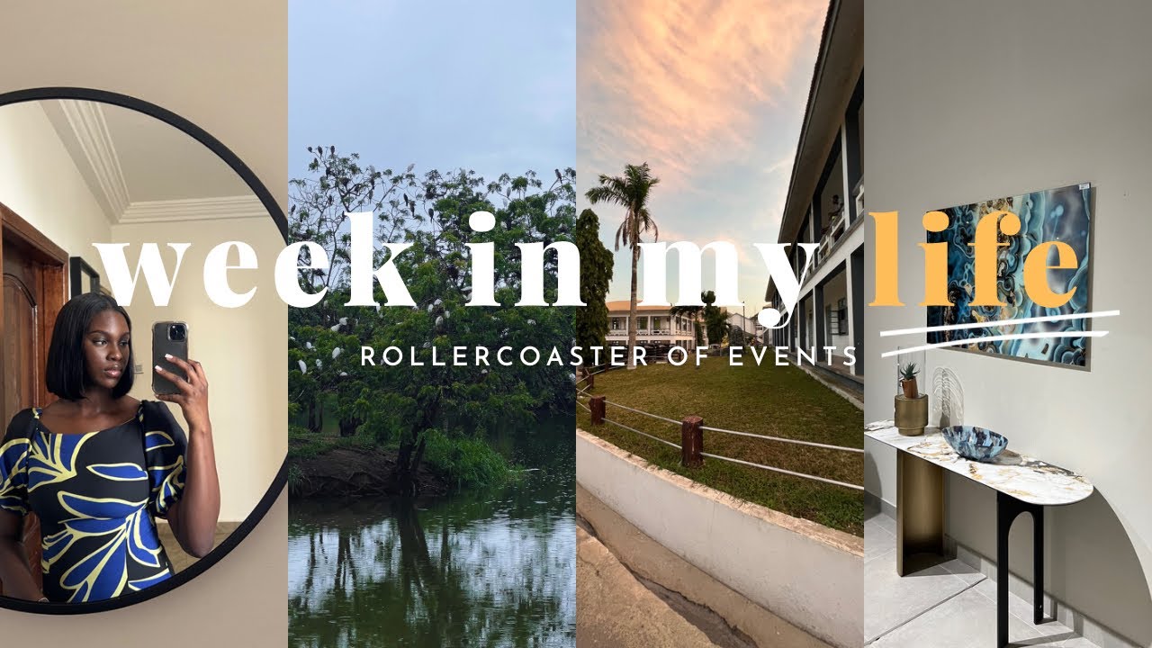 7 days, 7 stories ; a quick update - YouTube