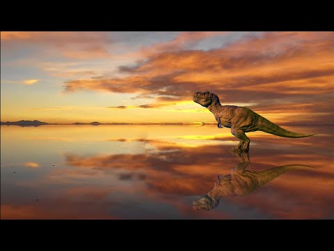 Dinosaur