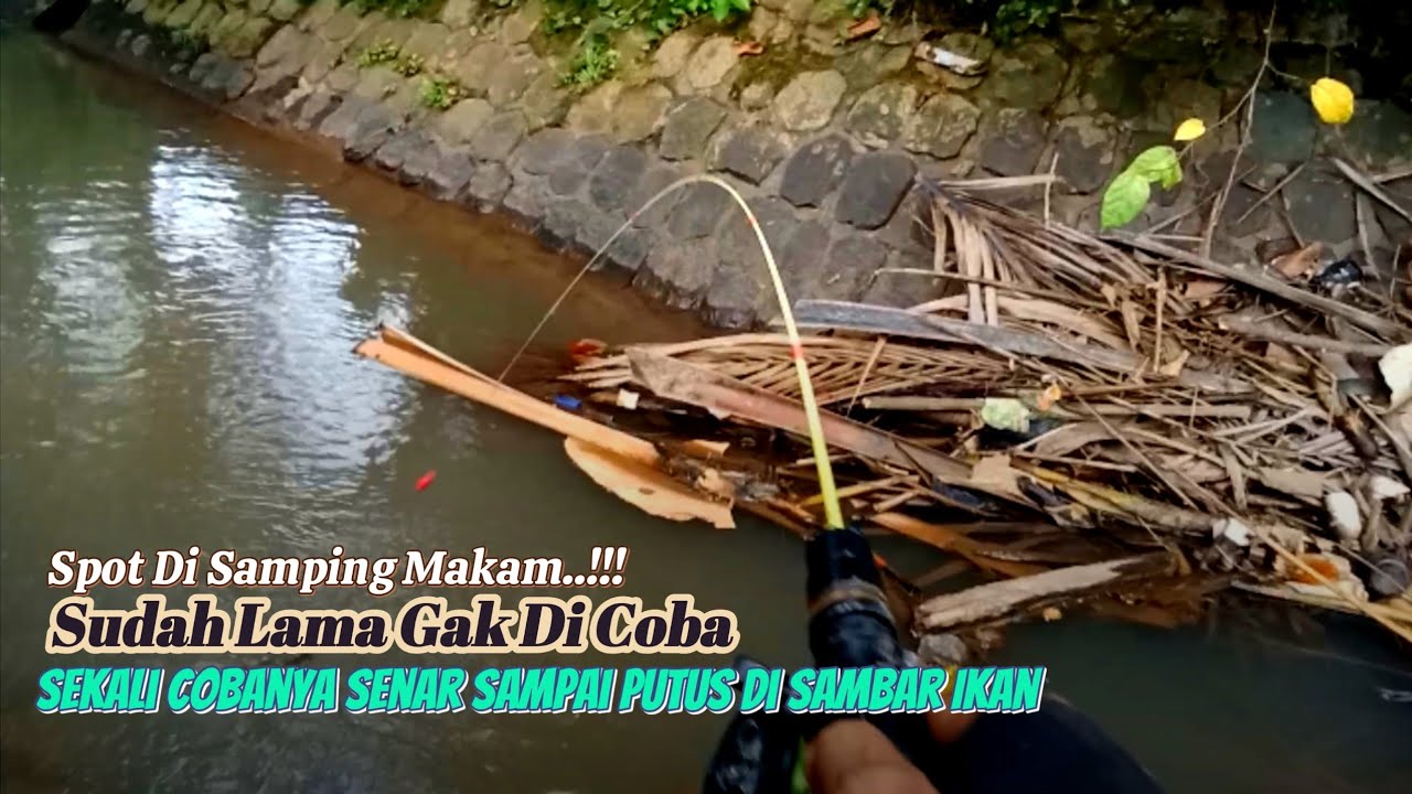 Micro Fishing‼️Tak Terduga Senar Sampai Putus Di Sambar Ikan Besar - YouTube