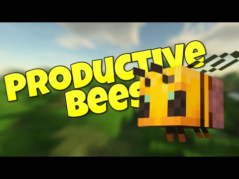 How To Use Catcher Productive Bees