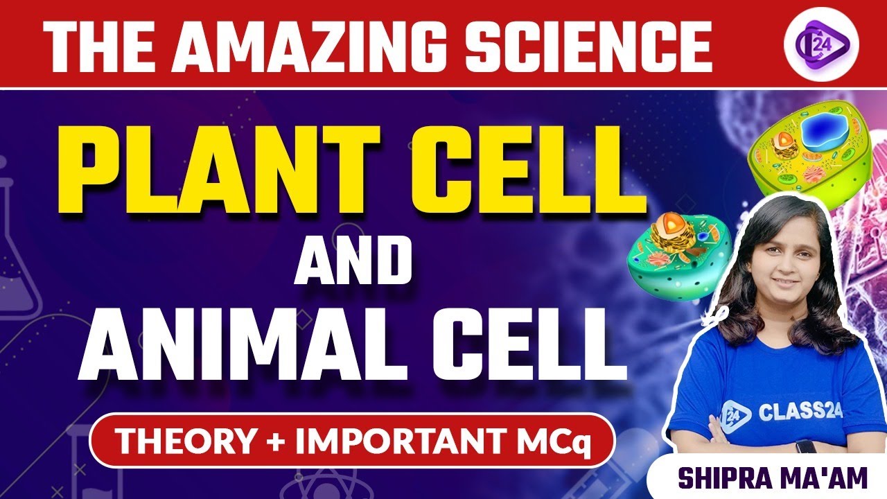 General Science | Difference Between Plant Cell and Animal Cell Theory ...
