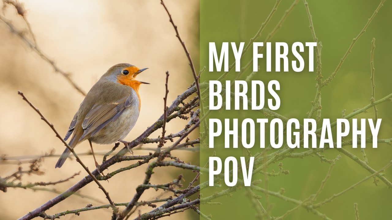 My first nature photography POV walk - YouTube
