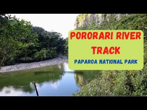 Pororari River Track: Paparoa National Park - YouTube
