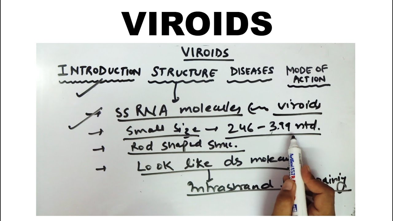 Viroids | Introduction | Structure | Diseases | Mode of Action | - YouTube