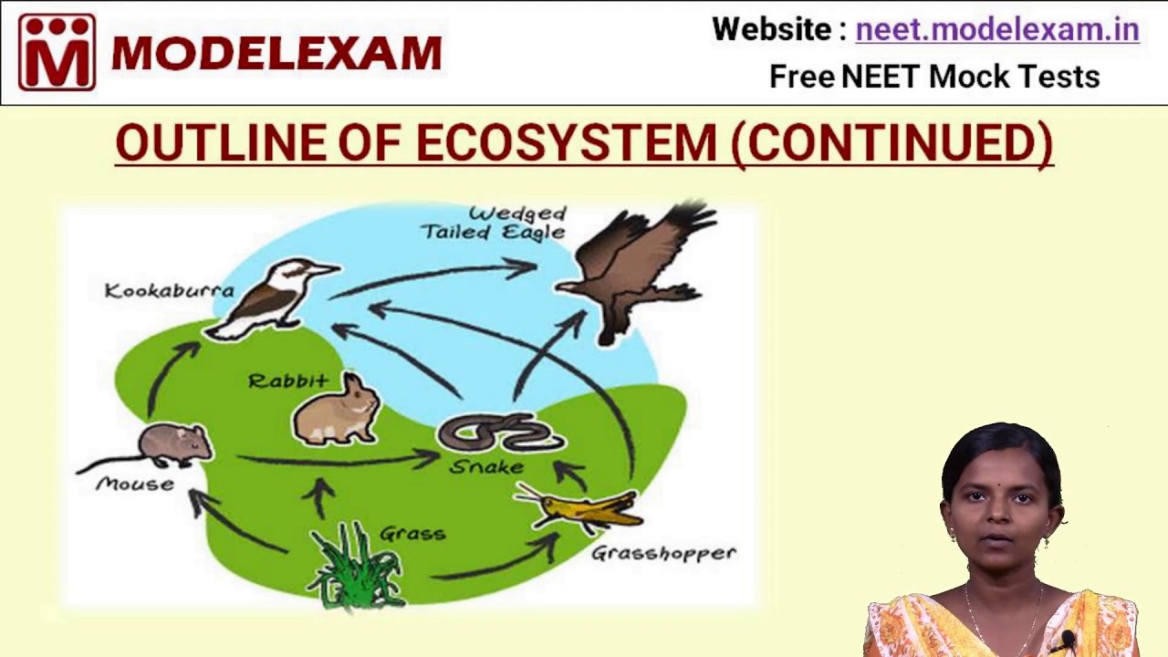 Ecosystem - Structure, Classification & Components | NEET / NCERT ...