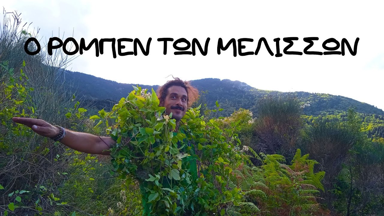 ΜΙΑ ΝΥΧΤΑ ΜΕ ΦΕΓΓΑΡΙ🌝 - YouTube