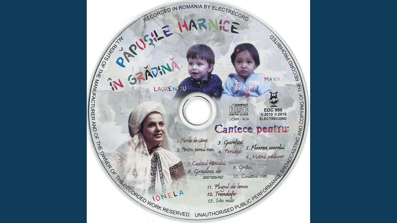 Florile de câmp - YouTube