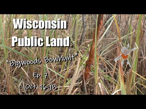 Northern Wisconsin BIG WOODS Bowhunt | Wisconsin Public Land Whitetail ...