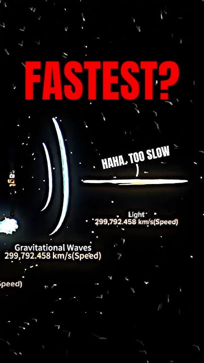 The FASTEST Thing in the UNIVERSE: SPEED COMPARISON - YouTube
