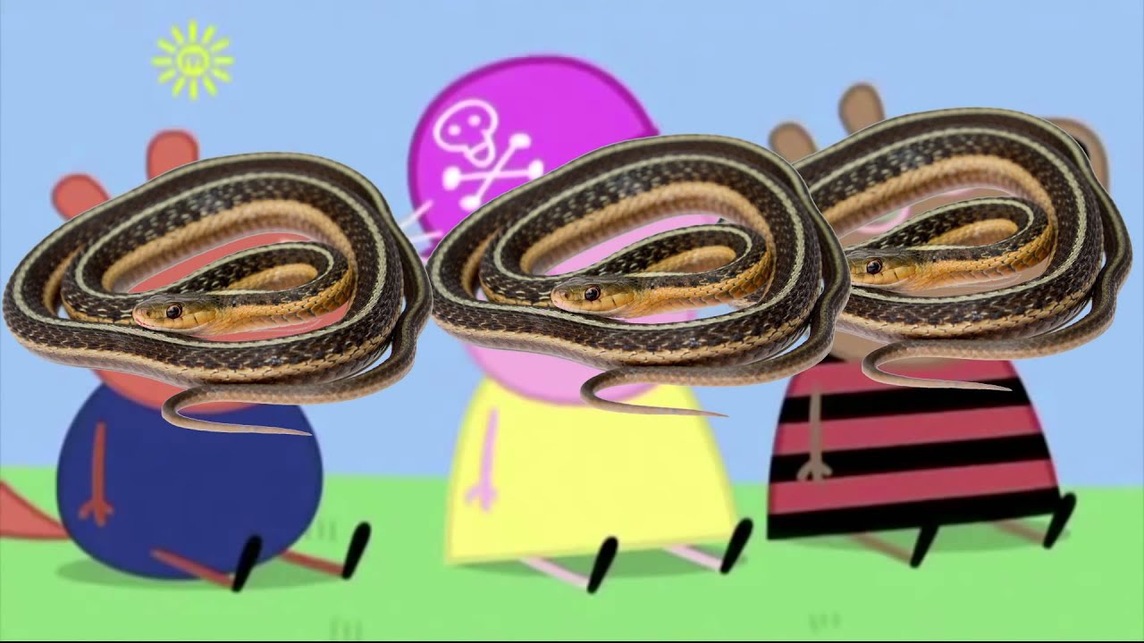 SNAKEY WAKEY - YouTube