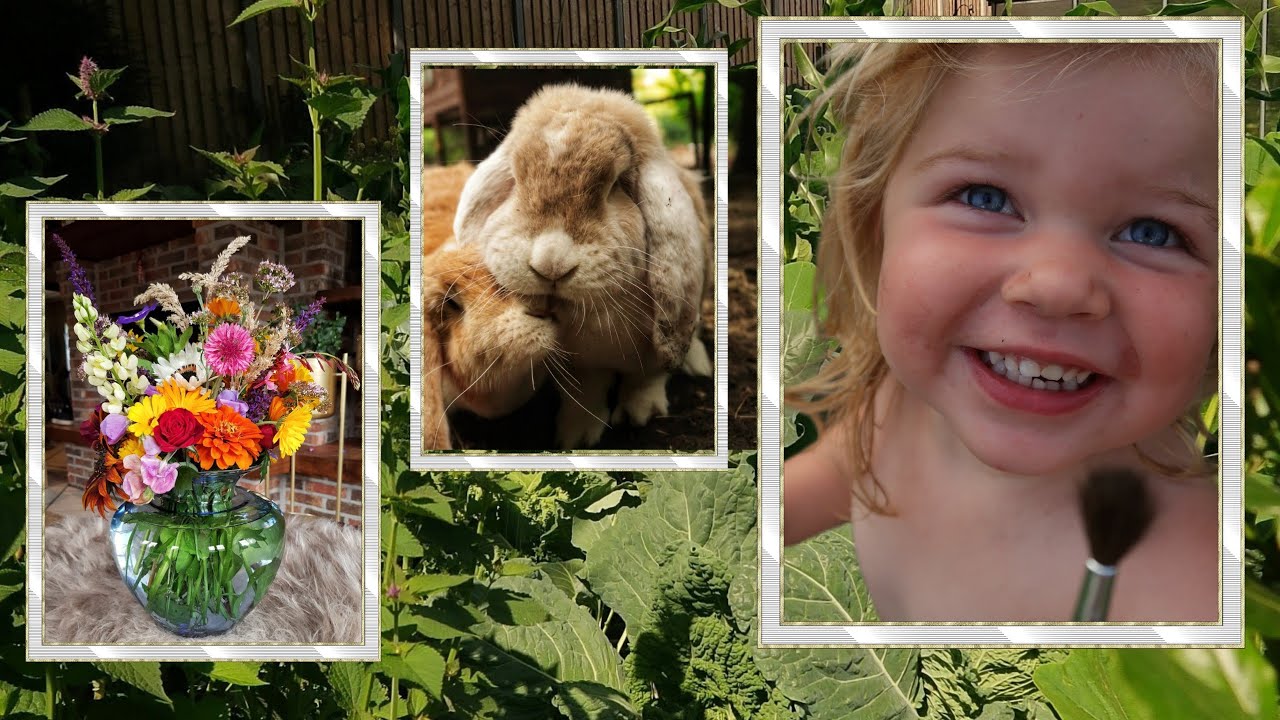 Waarom ik wat stiller ben over de dieren/ pompoenen toppen. - YouTube