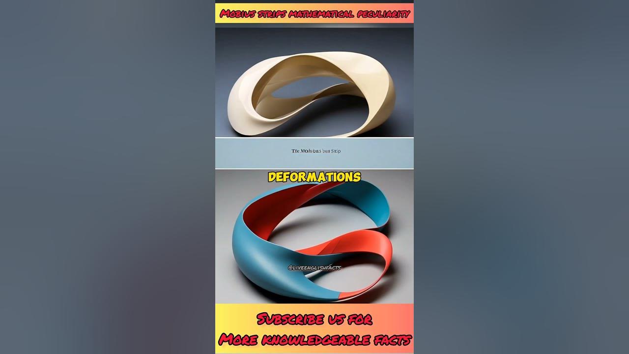 Paradox of the Möbius Strip and Klein Bottle - A 4D Visualization ...