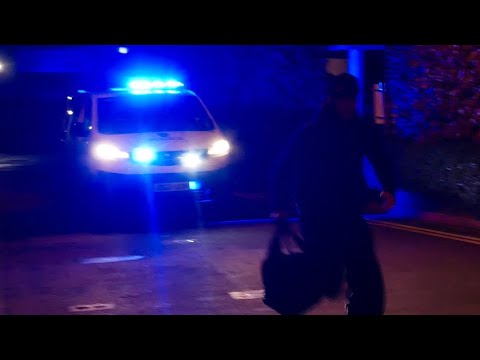 Flea (Official Trailer) - YouTube