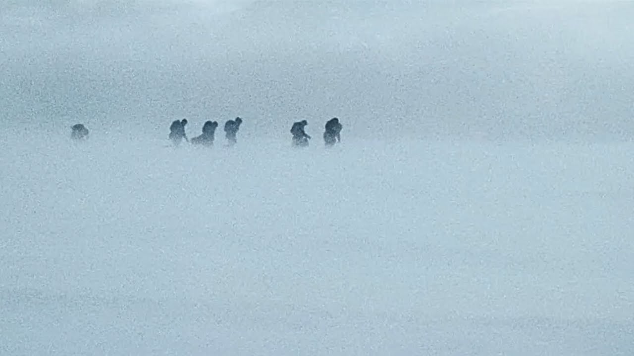 Oil workers crash in Alaska, battling wolves and weather to survive ...