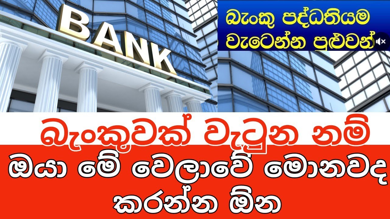 How to earn money, Banking system and monitory sector, Problems in SL ...