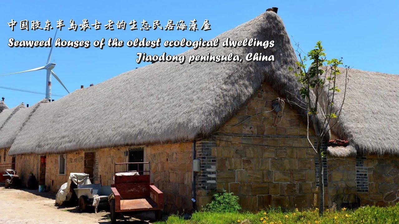 Seaweed houses of the oldest ecological dwellings , Jiaodong peninsula ...