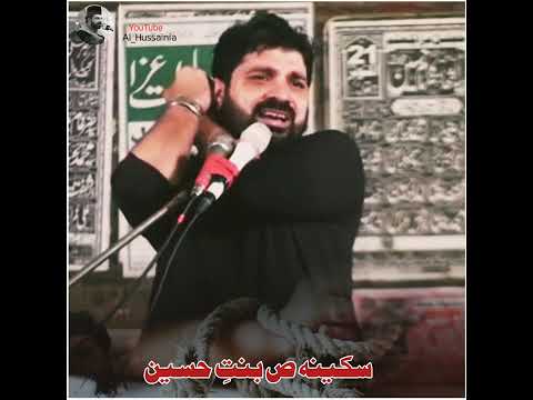 13 Saffar | Shahadat Bibi Sakina [saw] | Allama Asif Raza Alvi | Status