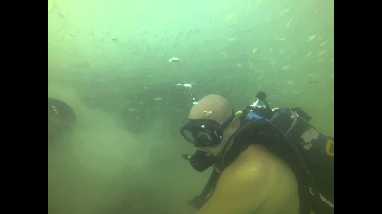 Reef Cleanup Dive, Naples Florida - YouTube