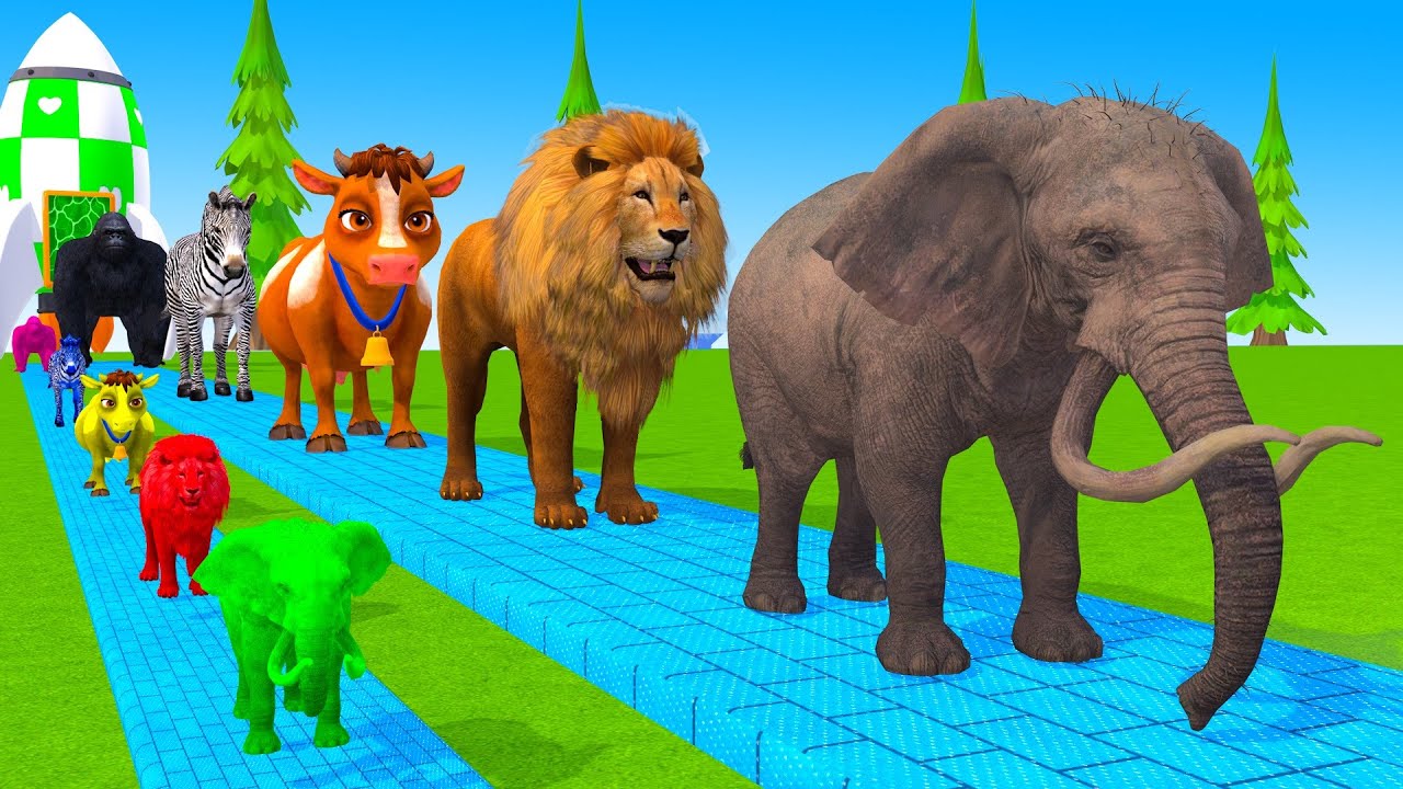 Long Slide Game With Cow Elephant Gorilla Hippopotamus Tiger 3d Animal ...