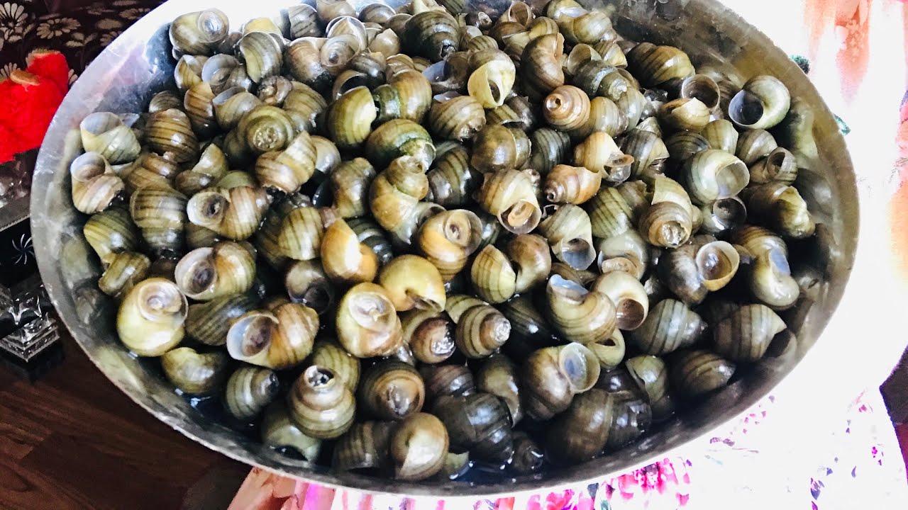 Ghongi mukbang | tharu food | snails eating #nepalimukbang # ...