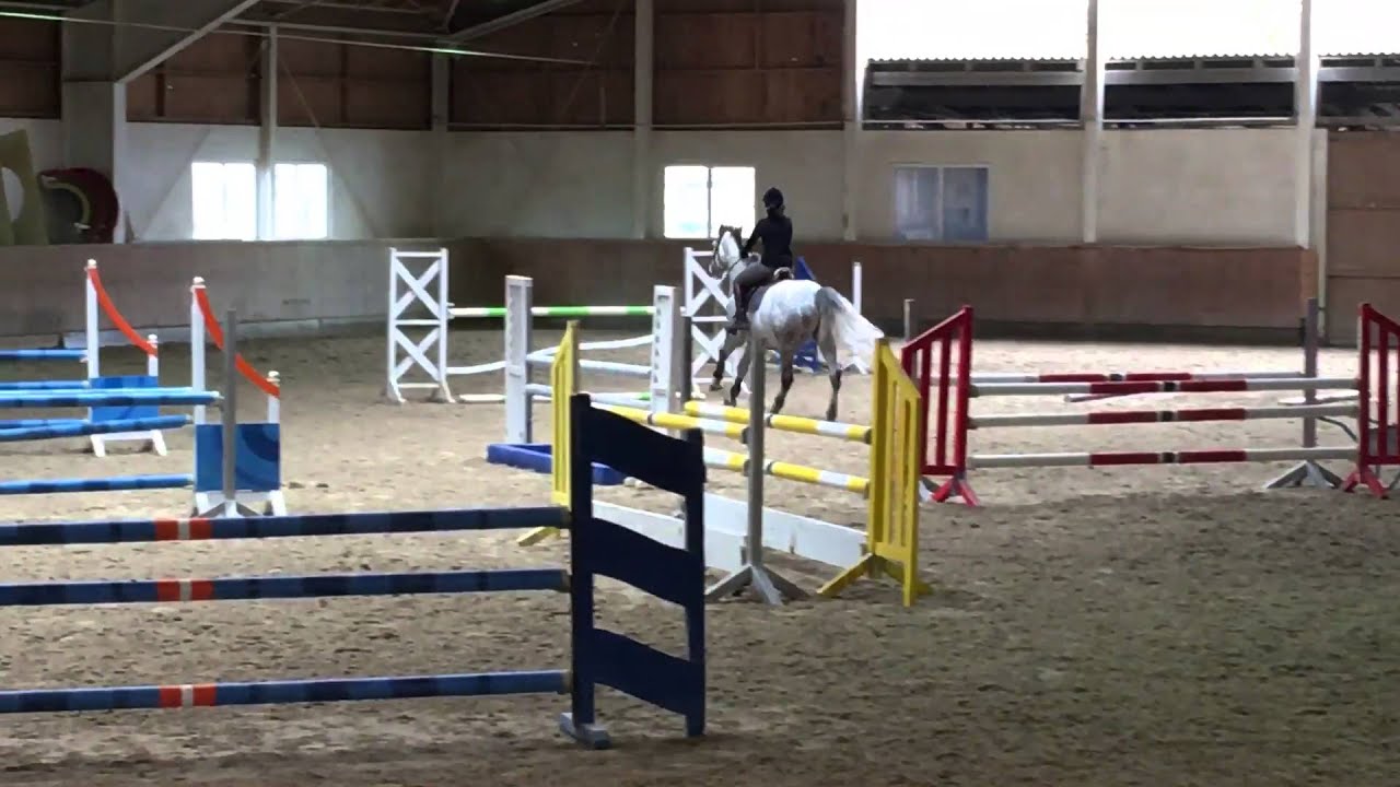 Training Natalie mit Coco bei Björn Nagel Teil 1 - YouTube