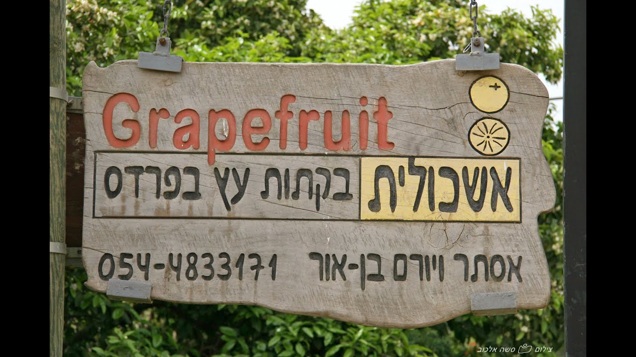 אשכולית, צימר כפרי בבית שעריים | Grapefruit Vacation | Beit She'arim ...