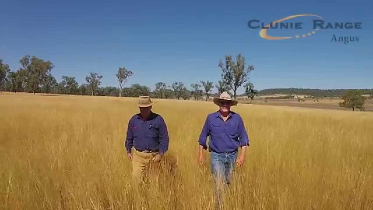 Clunie Range Corporate Video 2015 - YouTube