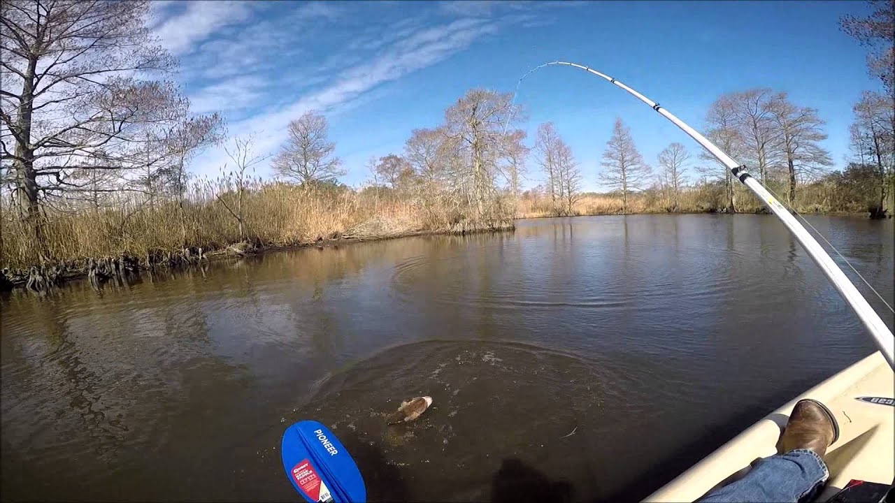 Virginia Beach fishing (pungo) - YouTube