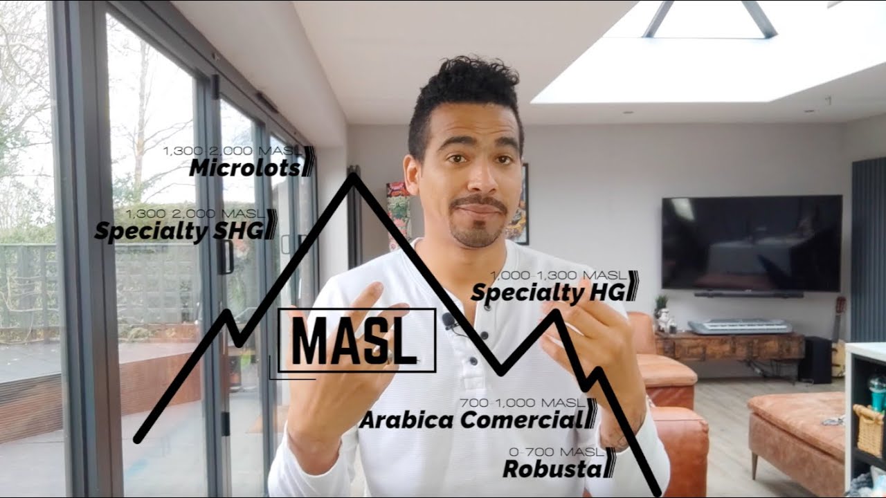 What MASL mean? - YouTube