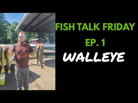 FISH TALK FRIDAY Ep. 1 (walleye) - YouTube