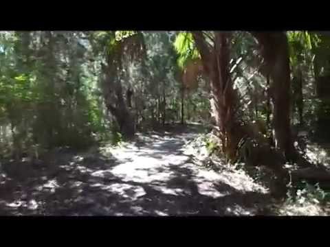 Shell Mound near Cedar Key, Florida - YouTube