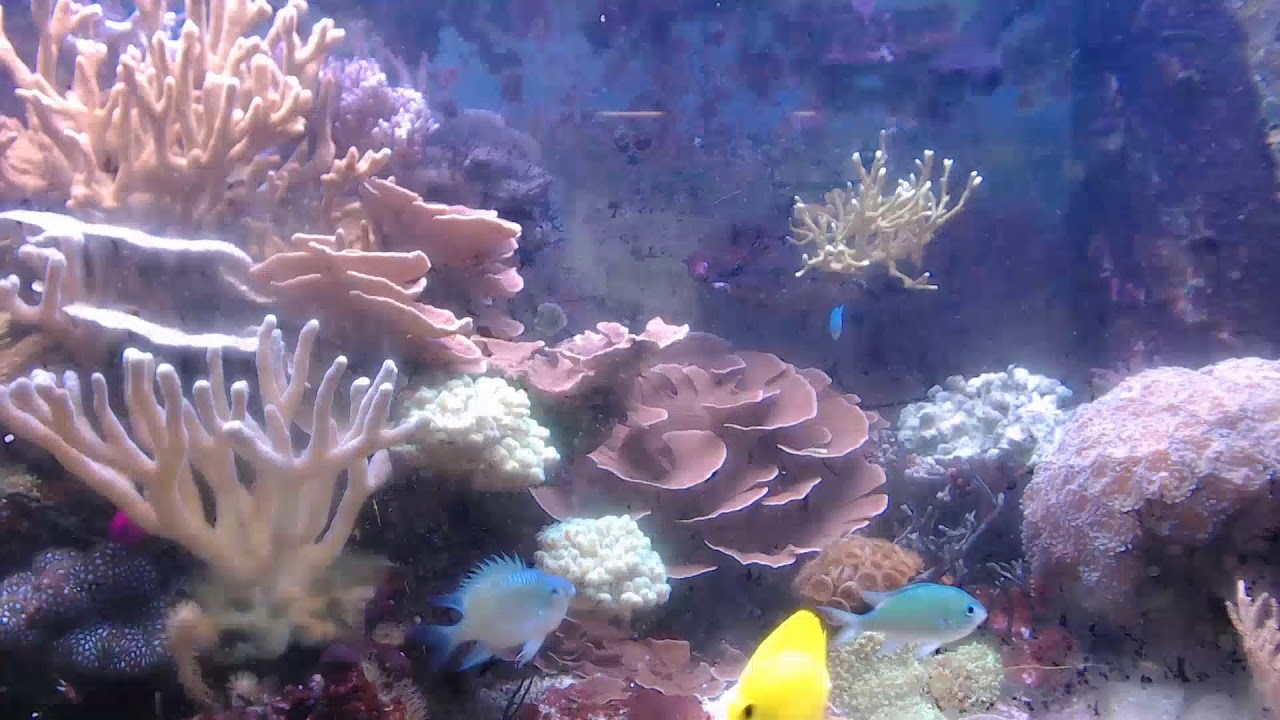 Matt Klapper Live Stream - YouTube