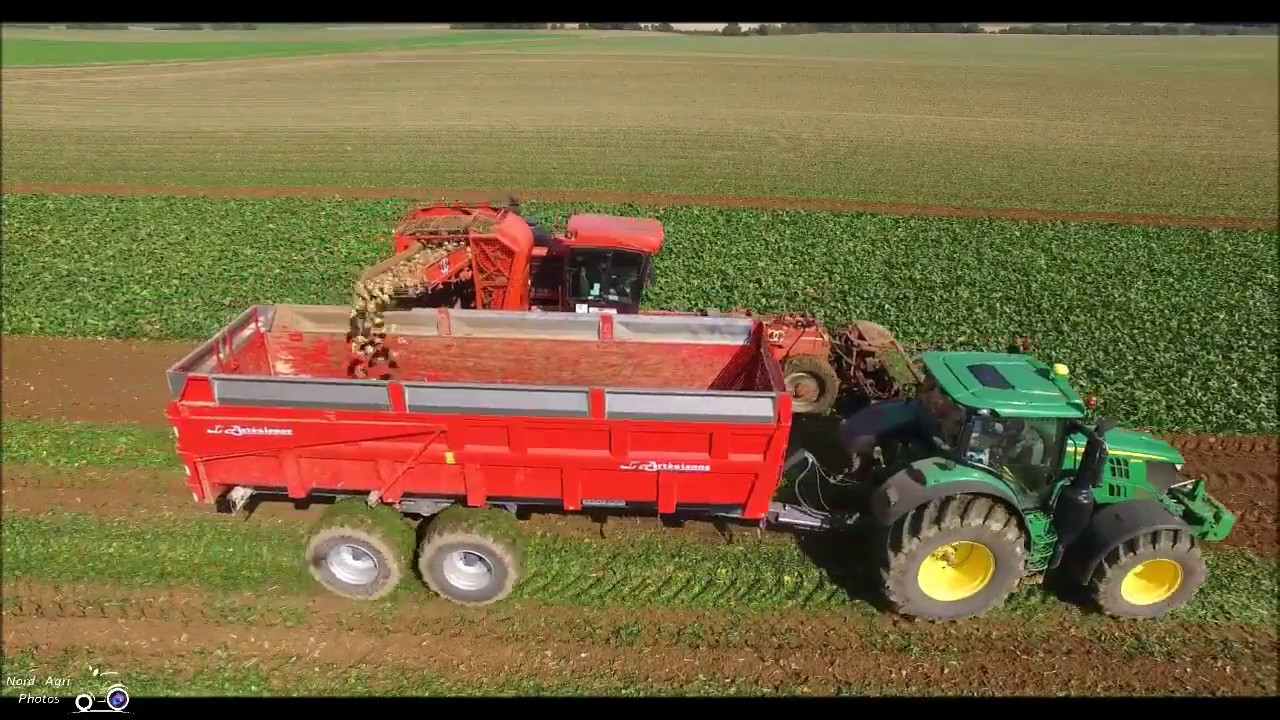 Arrachage betteraves 2017. Ardennes. Matrot M41 Massey 7624 benne l ...