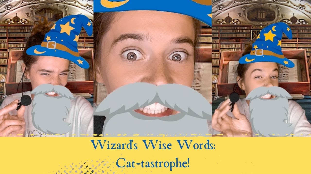 The Wizard's Wise Words: Cat-tastrophe! - YouTube