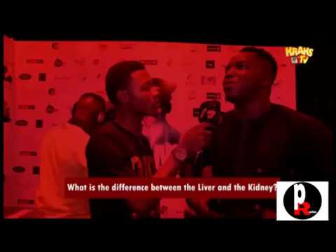 what is the difference between the liver and the kidney? Mr Hyenana ...