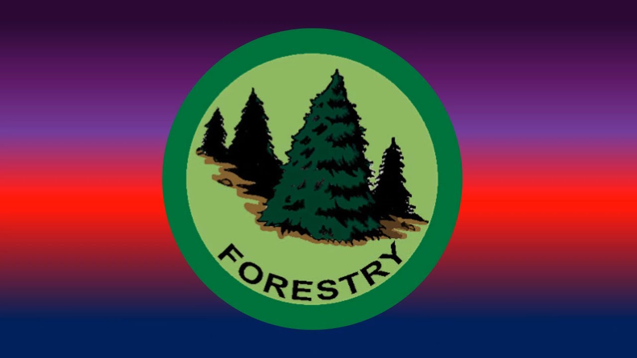 FORESTRY MERIT - ROYAL RANGERS | Green Merit (Adventure Rangers) - YouTube
