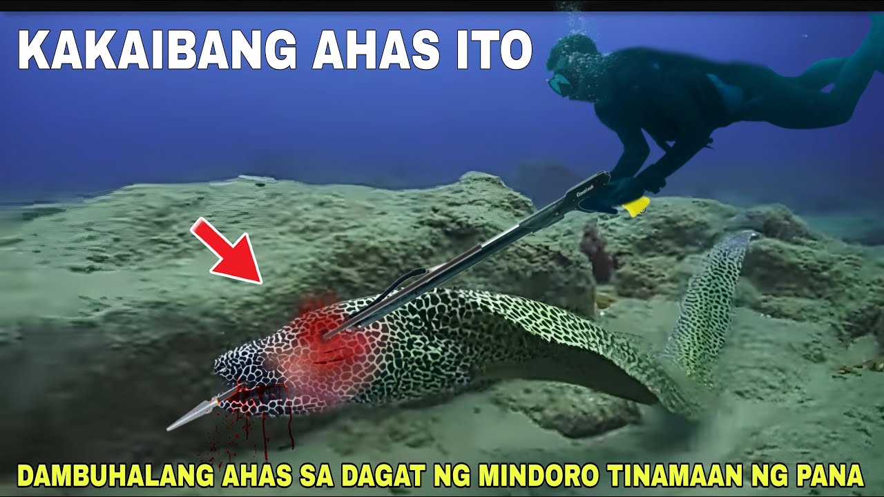NAKAHULI KAMI NG MALAKING AHAS SA DAGAT | MAKAPIGIL HININGANG ...