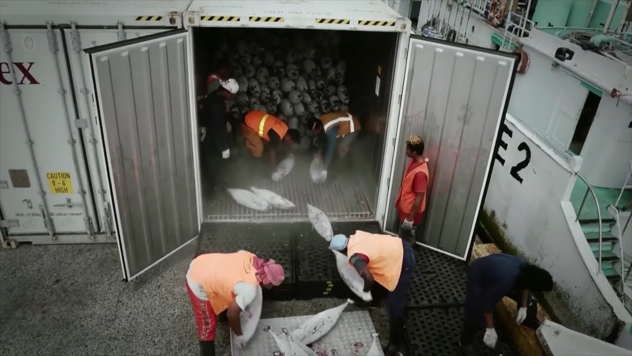 Dr. Ian Ralby - Illegal Fishing - YouTube