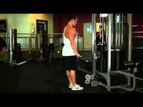 Reverse Cable Curl Ön Kol Hareketi Nasıl Yapılır - FitnessProgrami.com - YouTube