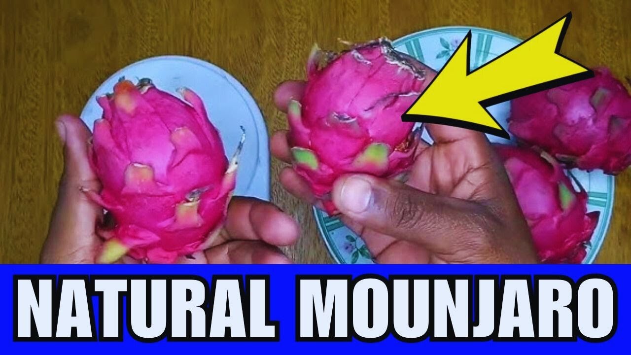 NATURAL MOUNJARO RECIPE WITH 4 INGREDIENTS (DISCOVER NOW) NATURAL ...