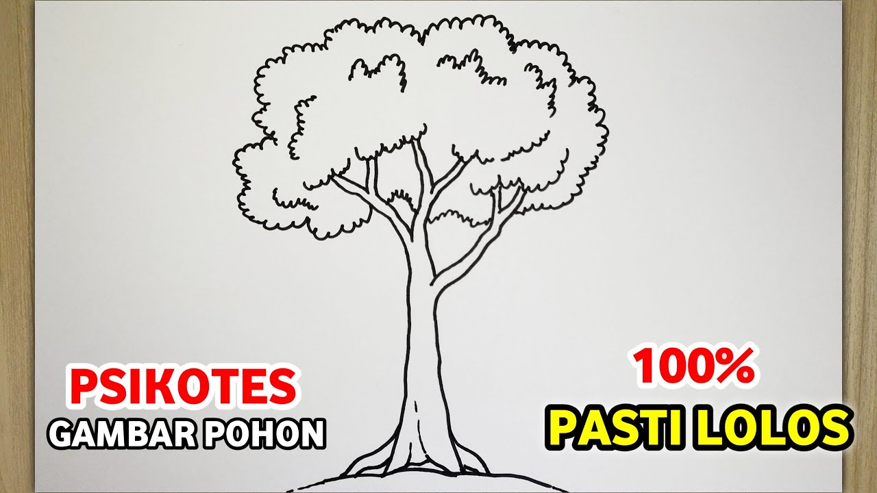 Cara menggambar pohon psikotes yang benar - Psikotes gambar pohon - YouTube