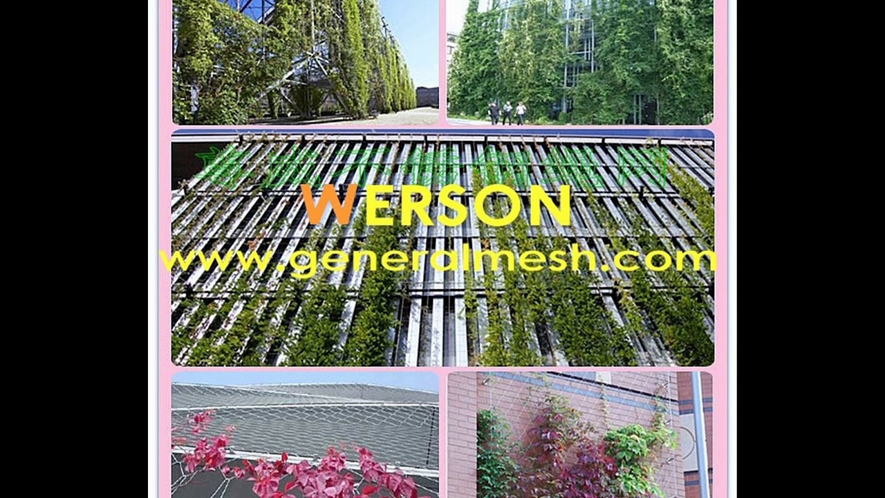 generalmesh Green Wall Cable Trellis，Cable Trellis，Stainless Steel Wire ...