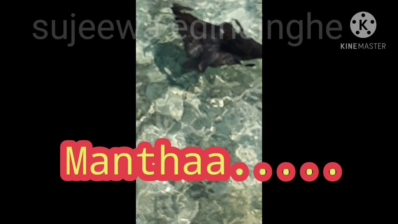 Manthaa.... - YouTube