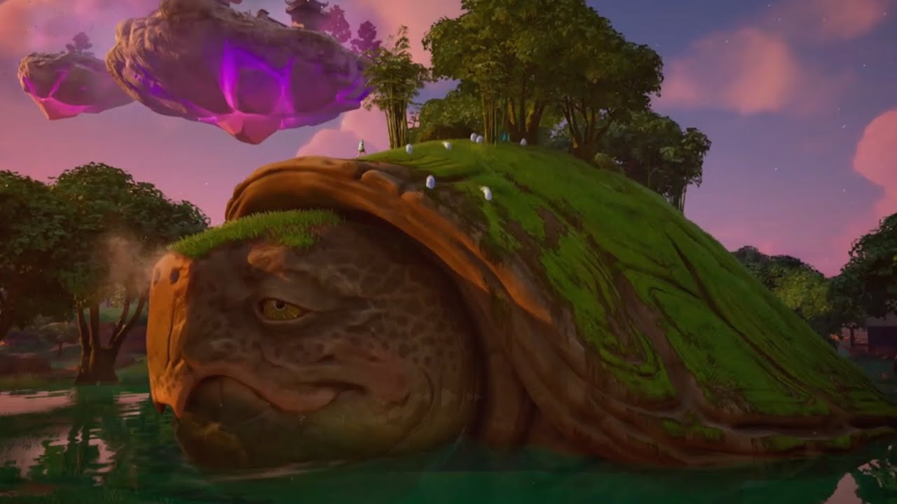 Fortnight turtle - YouTube