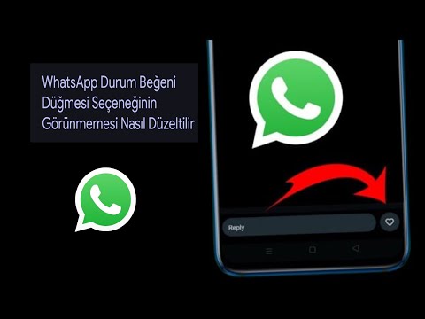 WhatsApp Durum Beğenme Seçeneği Yeni Güncelleme