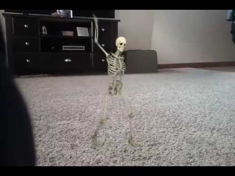 FxGuru Video,dancing skeleton - YouTube