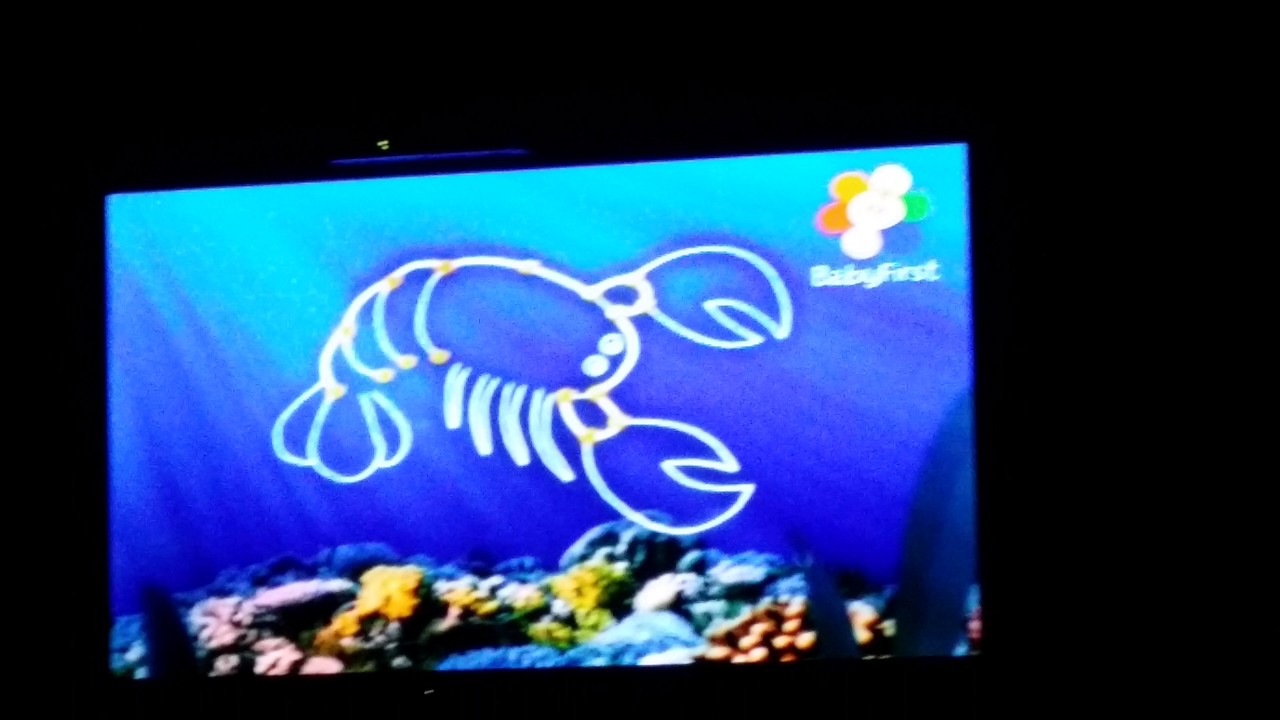 babyfirsttv scuba dots lobster - YouTube