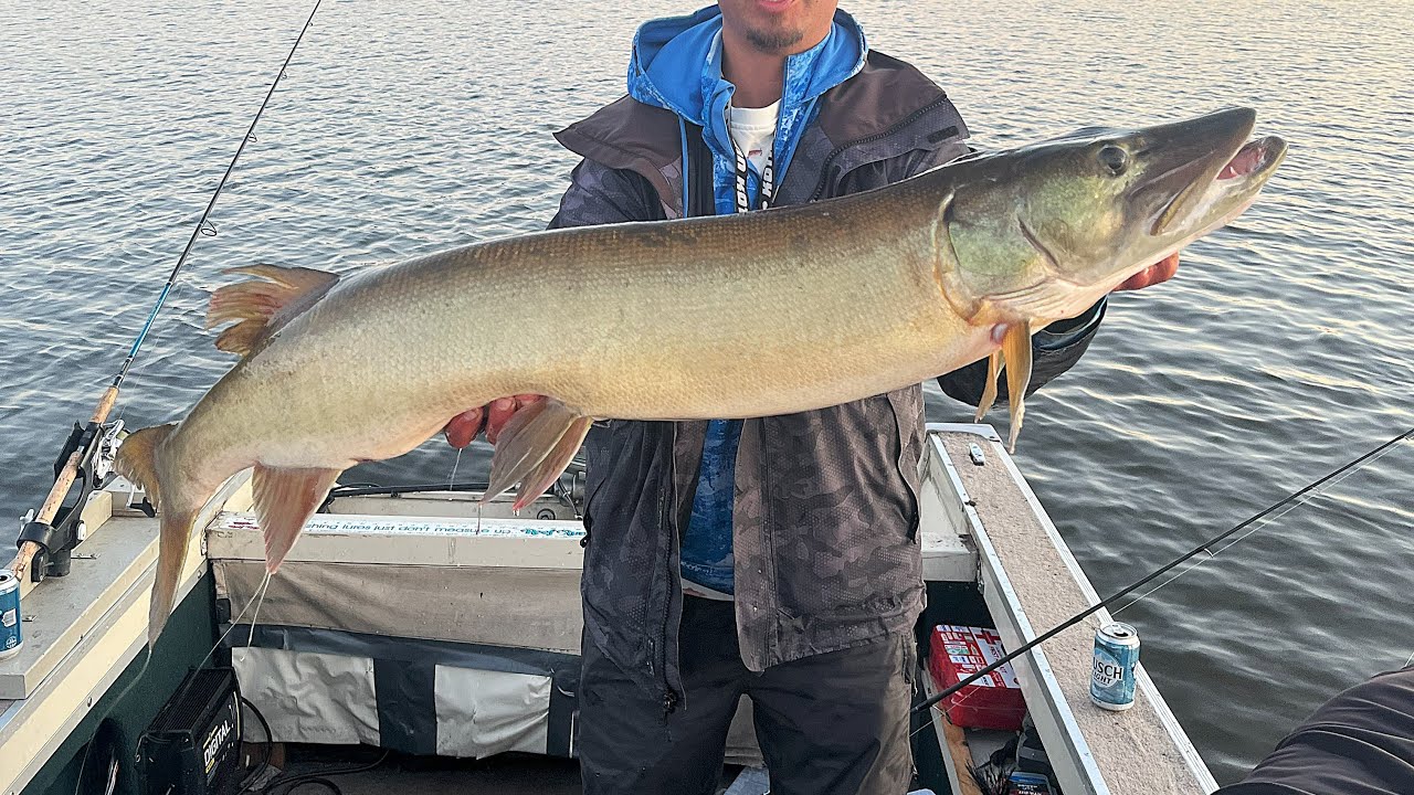Musky Fishing Northern Wisconsin Fall 2025 - YouTube